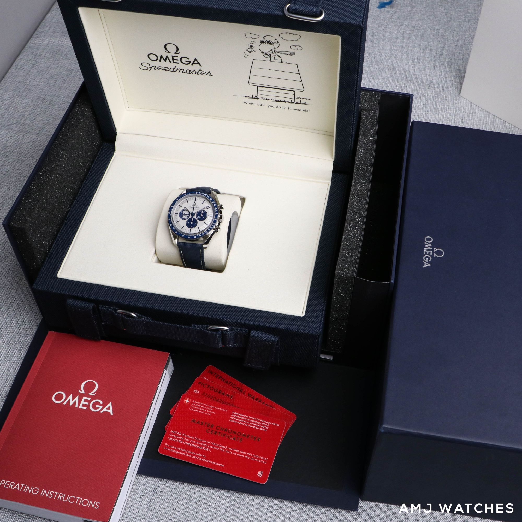 Omega Speedmaster “Silver Snoopy Award” | AMJ Watches